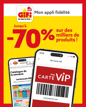 Déco, mobilier, jardin et idées cadeaux à petits prix | GiFi