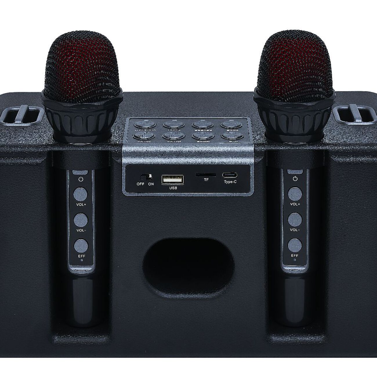 Enceinte karaoké 2 micros Homday Party | GIFI