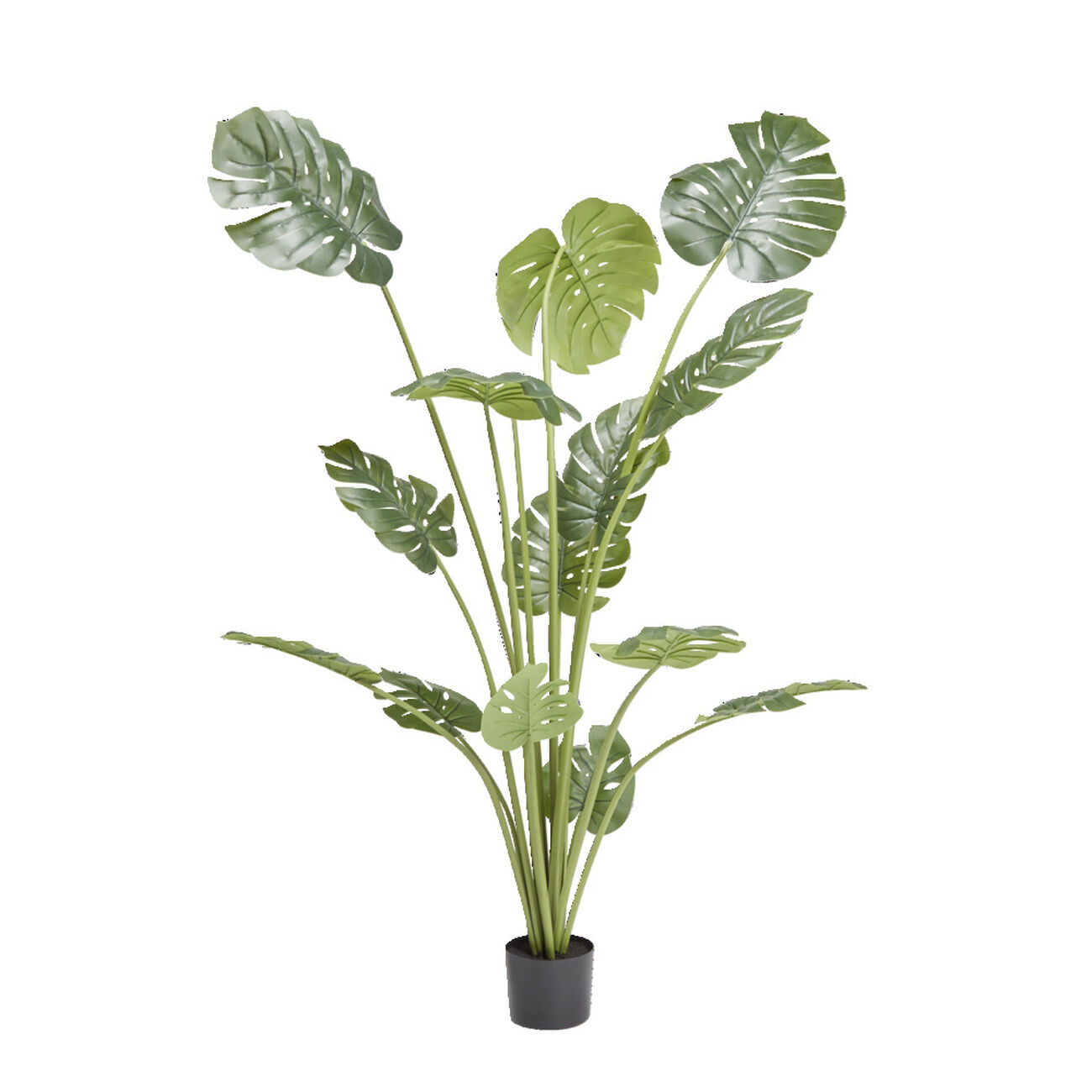 Sitemapcdatahttpsmodeinf Inetcomsuspension Plante Gifi