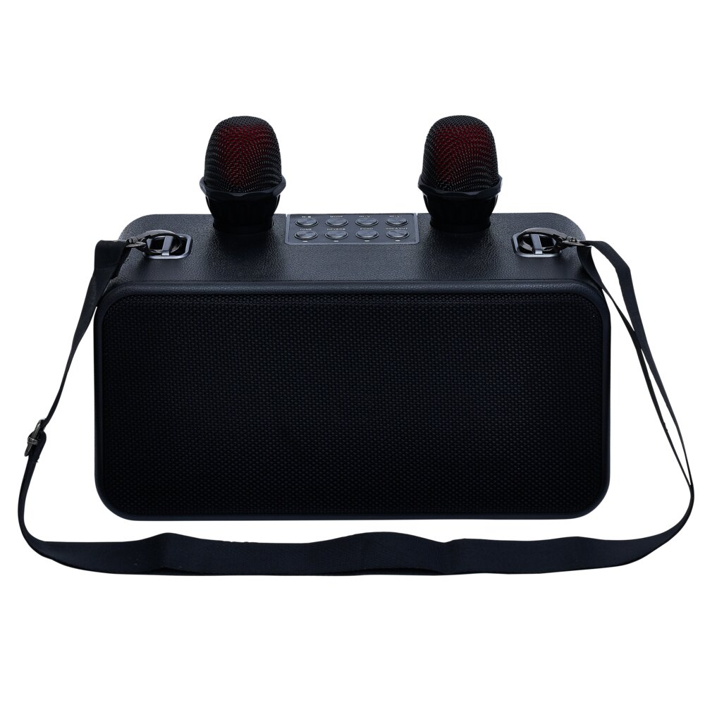 Enceinte karaoké 2 micros Homday Party | GIFI