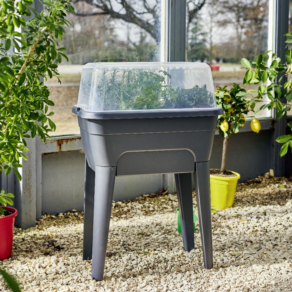 Potager sur pied effet serre Gary plastique gris 59x39xH86,5cm | GIFI