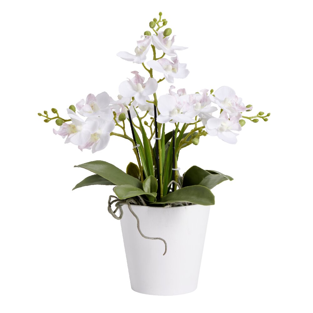 Fleurs artificielles en pot orchidée blanche 5 branches H32cm | GIFI