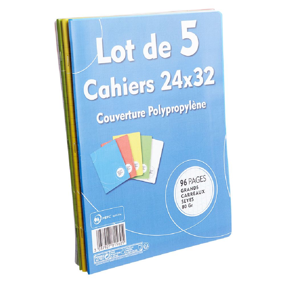 Cahier grands carreaux couverture rigide 96 pages 24x32cm x5 | GIFI